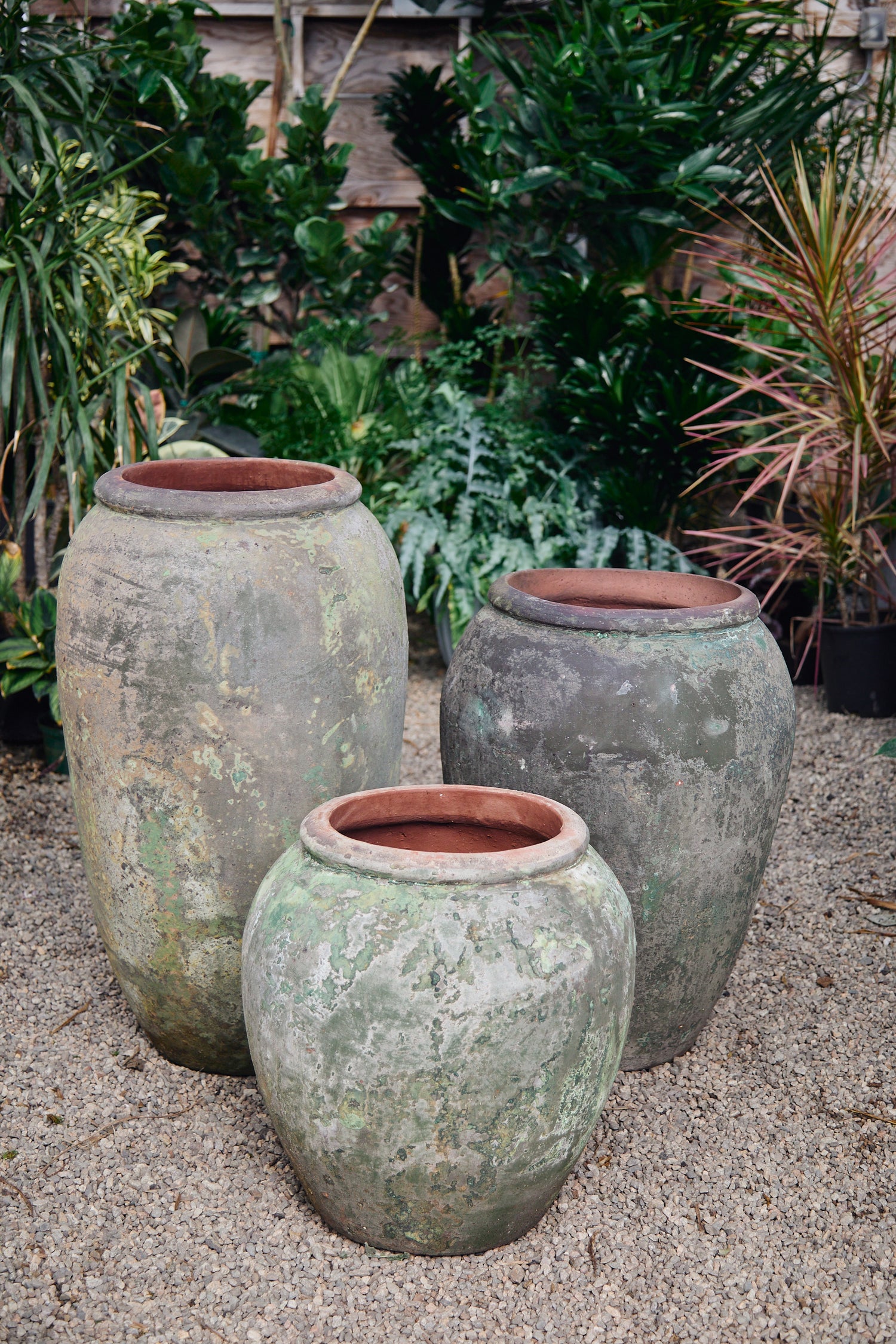Antiqued Moss Series